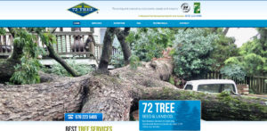 Atlanta Graphic Design-Design Agency Atlanta 678-714-0034